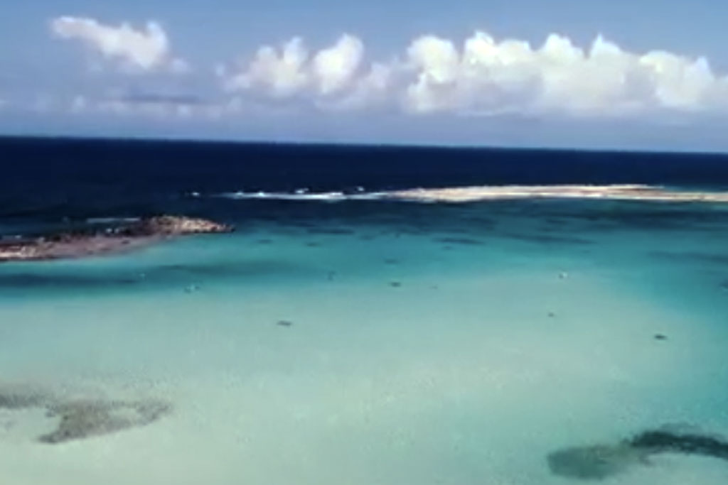 Aruba, la isla feliz, a solo un clic de distancia. - La Revue